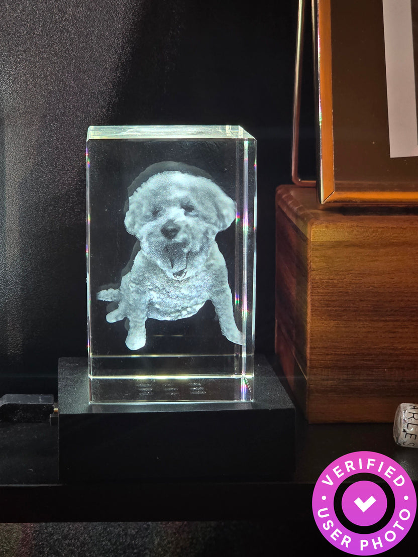 Pet Crystals in 3D - 7 Reasons to Choose Crystal Clear Memories