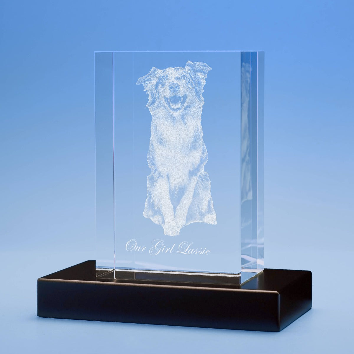 Pet Crystals in 3D - Remember Your Precious Pet from Crystal Clear Mem ...